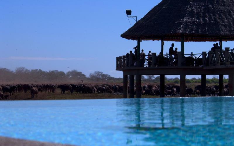 Voi Wildlife Lodge - Luxury Safari Accommodation in Tsavo
